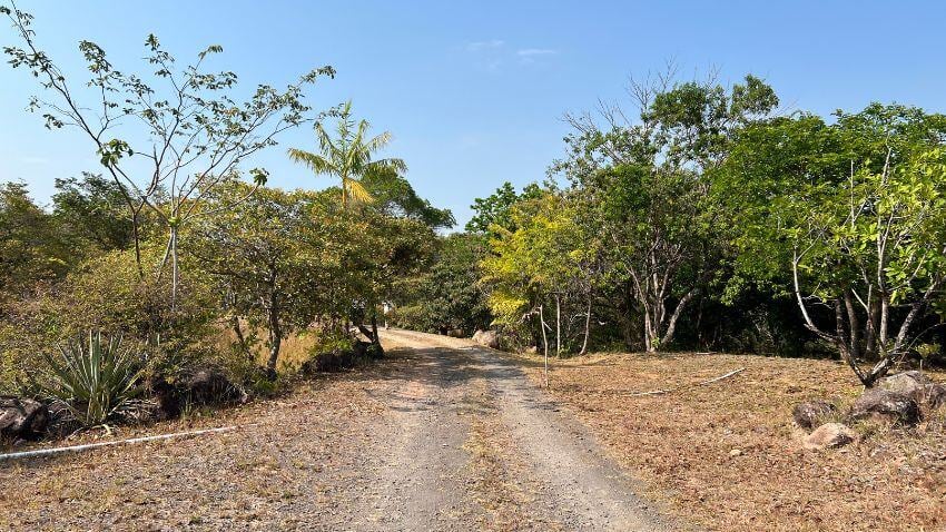 The Importance Of Solar Panels For An Off-Grid Lifestyle In Veritas Village